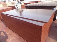 Dubai Importers For Plywood, Marine Plywood For Construction Duraplex marineplexs sunneyplexx Dyneaplexx